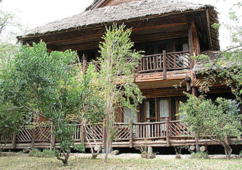 Mara Simba Lodge in Masai Mara national Reserve